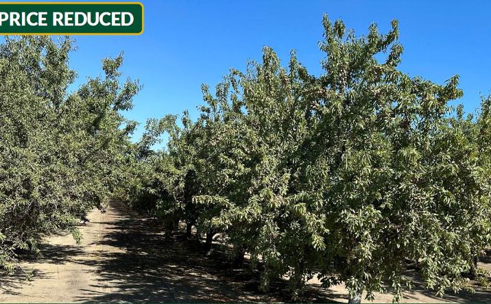 Caruthers, CA | Crexi.com