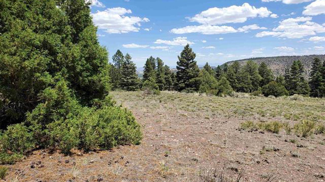 Lot 9 North Rito Hondo Court, Antonito, CO 81120 | Crexi.com
