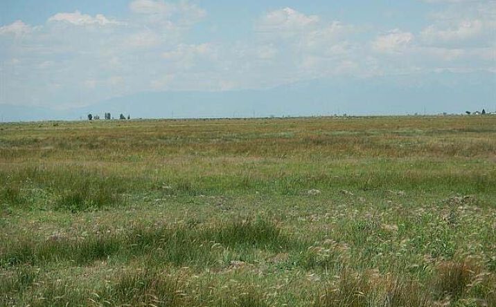 Tract 5 N. Country Road 100, Monte Vista, CO 81144 | Crexi.com