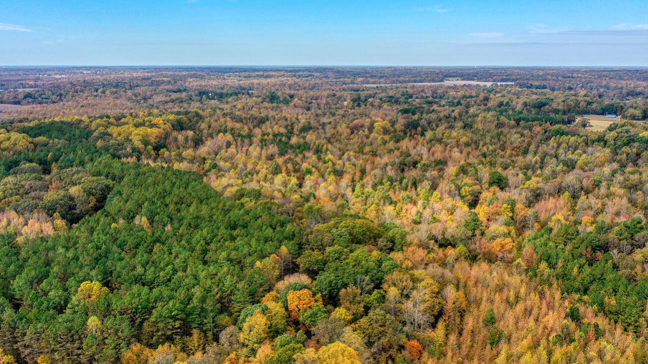 0 Fewell Lane, Lavinia, TN 38348 | Crexi.com