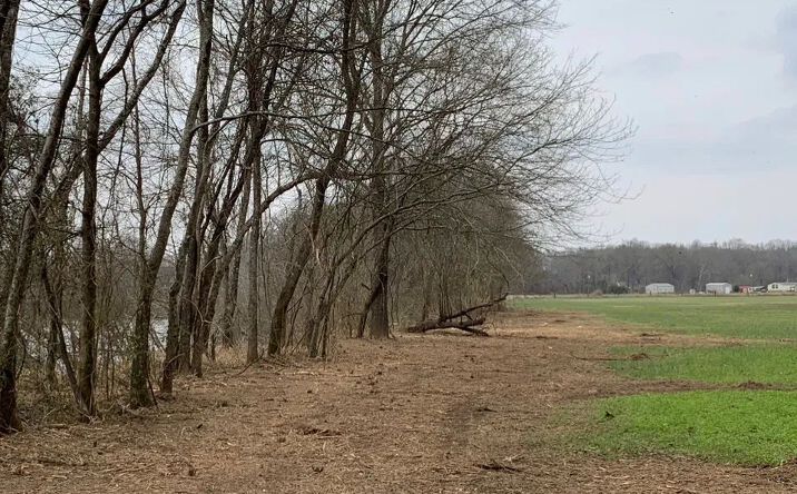 3 Acres On Ouachita River In Hot Spring Co, Friendship, AR 72104 ...