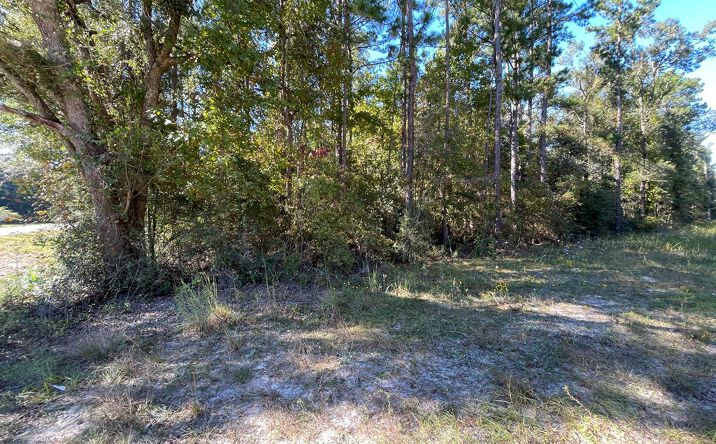 2032 RAYONIER RD Jesup GA 31545 | Crexi.com