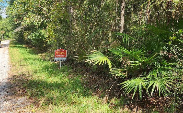 Prier Dr, Pass Christian, MS 39571 | Crexi.com