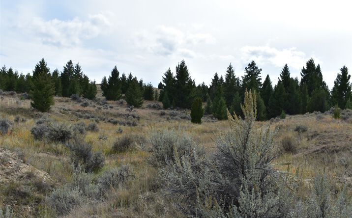 tbd Indian Paint Brush Road, Butte, MT 59701 | Crexi.com