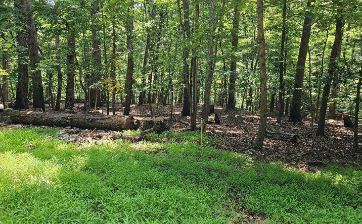 DOGWOOD LN Mount Weather VA 20135 | Crexi.com