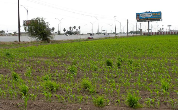 0 E Expressway 83 Highway, Alamo, TX 78516 | Crexi.com