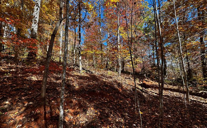 Luftee Lake Rd, Bryson City, NC 28789 | Crexi.com