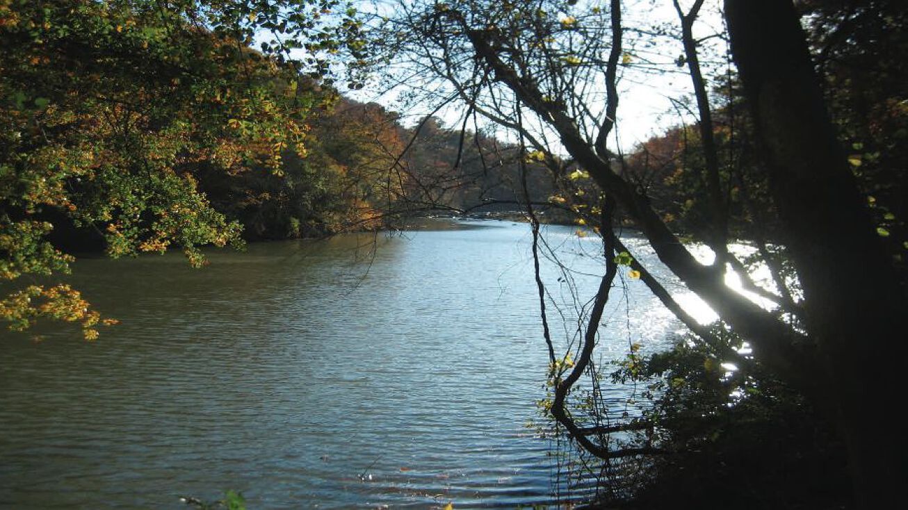 Mitchell Street, Clifton, SC 29307 | Crexi.com