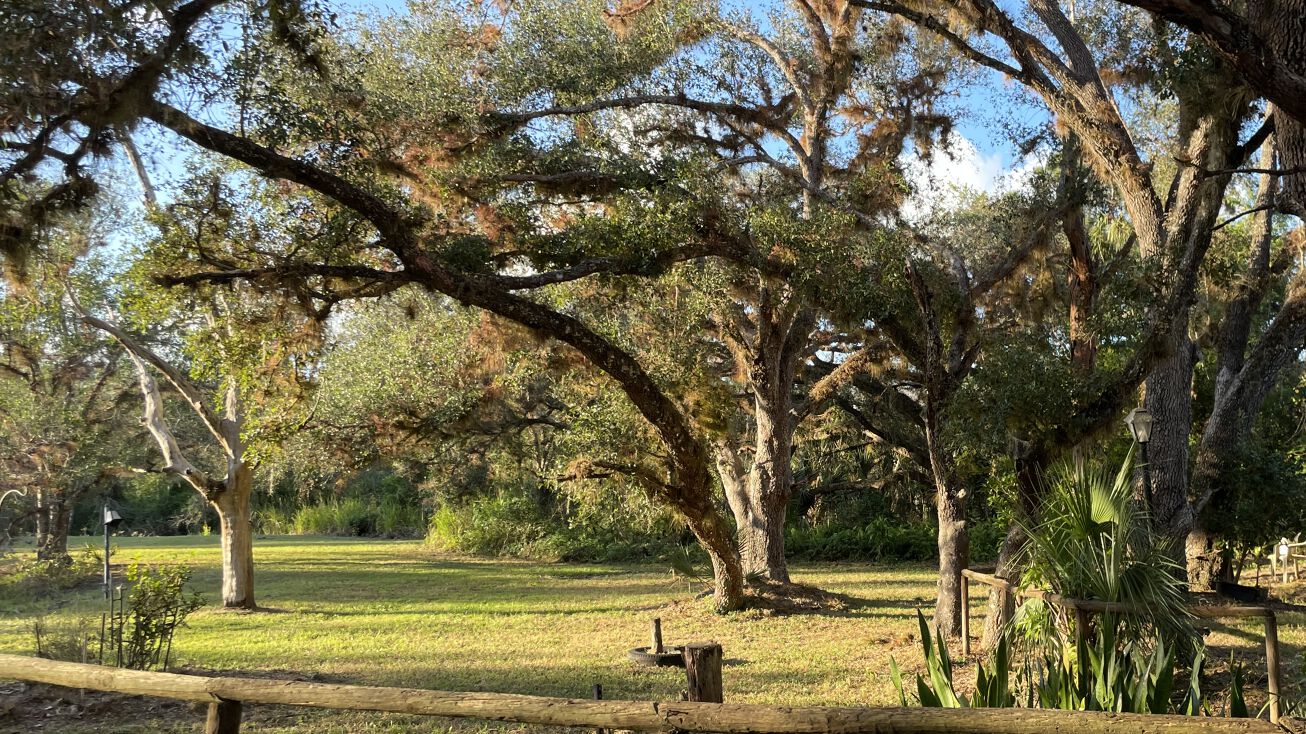 1339 Alex Blvd, LaBelle, FL 33935 | Crexi.com