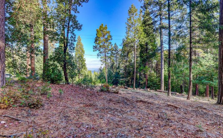 12181 ROBUST WAY Nevada City CA 95959-9256 APN: 034050030000 | Crexi.com