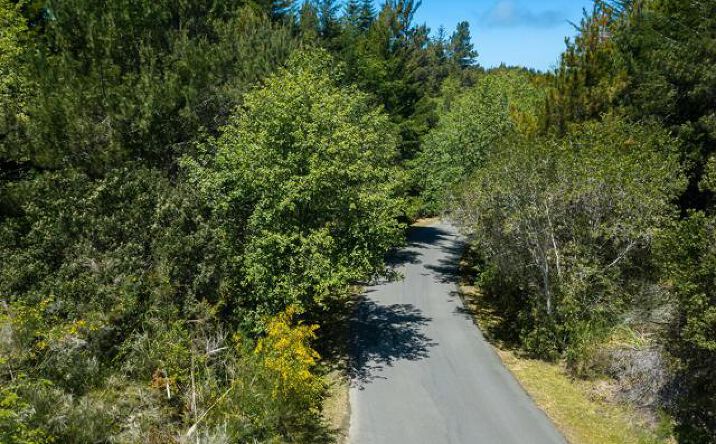 15950 Shane Drive, Fort Bragg, CA 95437 | Crexi.com