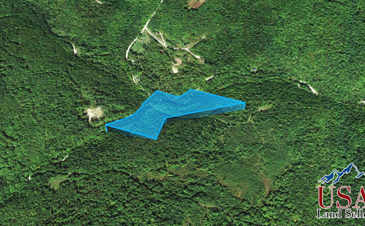 Whitmore Brook Rd, Chester, VT 05143 | Crexi.com