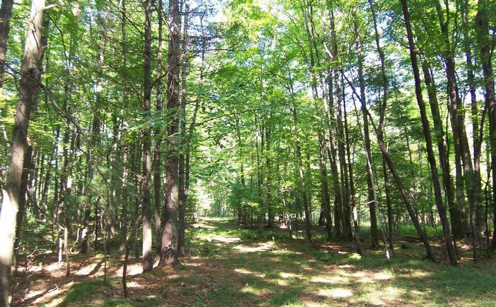Timber Trail, Suamico, WI 54173 | Crexi.com