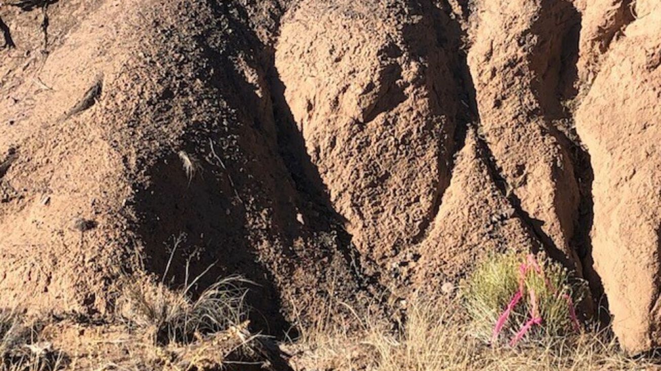 Lots 37,38,39 Block 45, Medanales, NM 87548 | Crexi.com