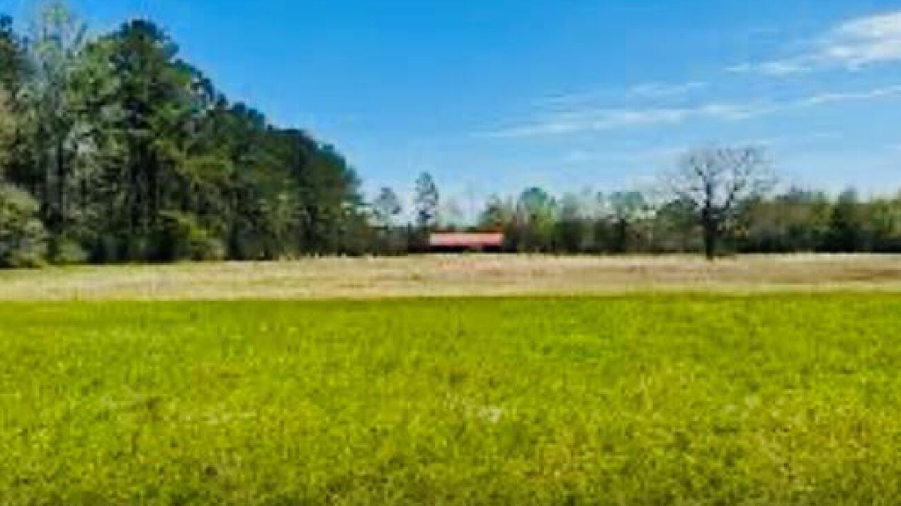 0000 Dunhurst Long Rd, Picayune, MS 39466 | Crexi.com
