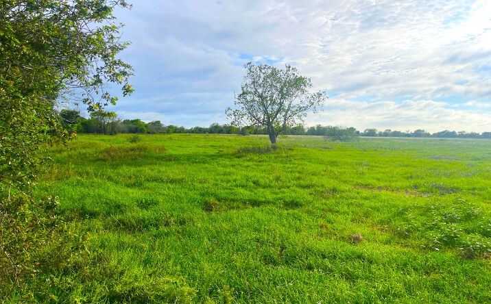 County Rd 18, Damon, TX 77430 | Crexi.com