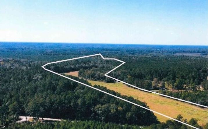 0 Old Happy Lane, Brooklet, GA 30415 | Crexi.com