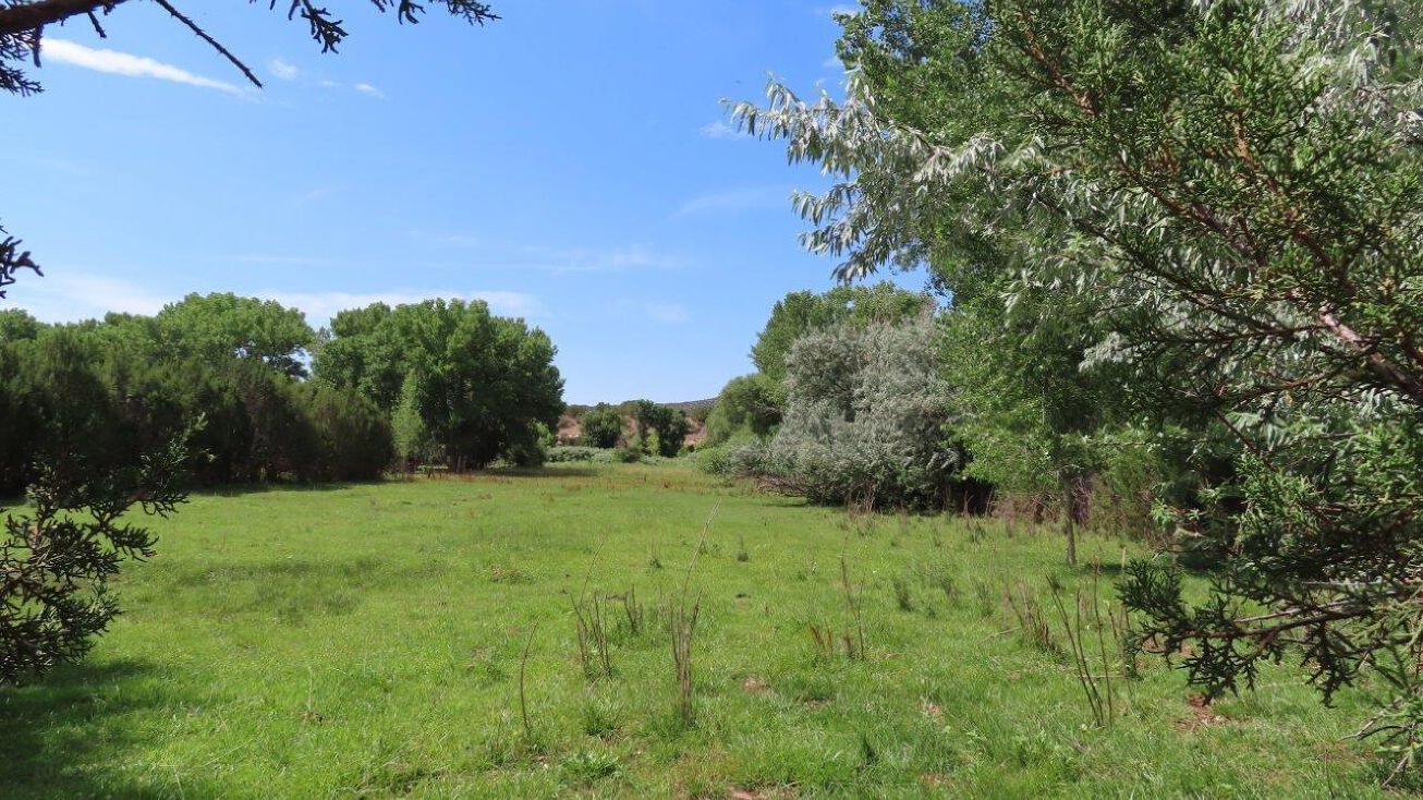 NM-3, Gonzales Ranch, NM 87560 | Crexi.com