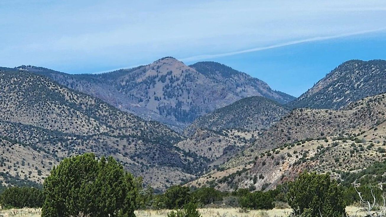 Antelope Run Rd, Bingham, NM 87832 | Crexi.com