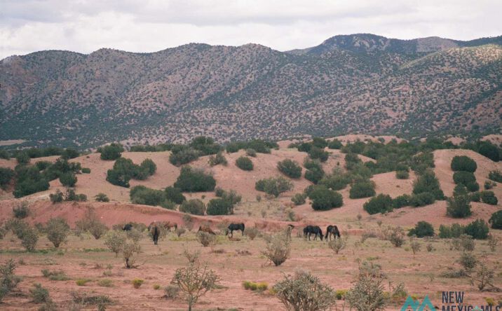 0 Addy, Seboyeta, NM 87014 | Crexi.com