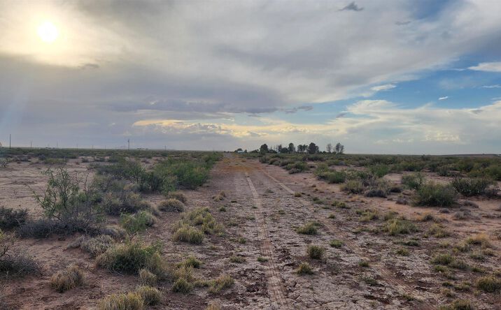 Deming Station Rd, Luna, NM 88030 | Crexi.com