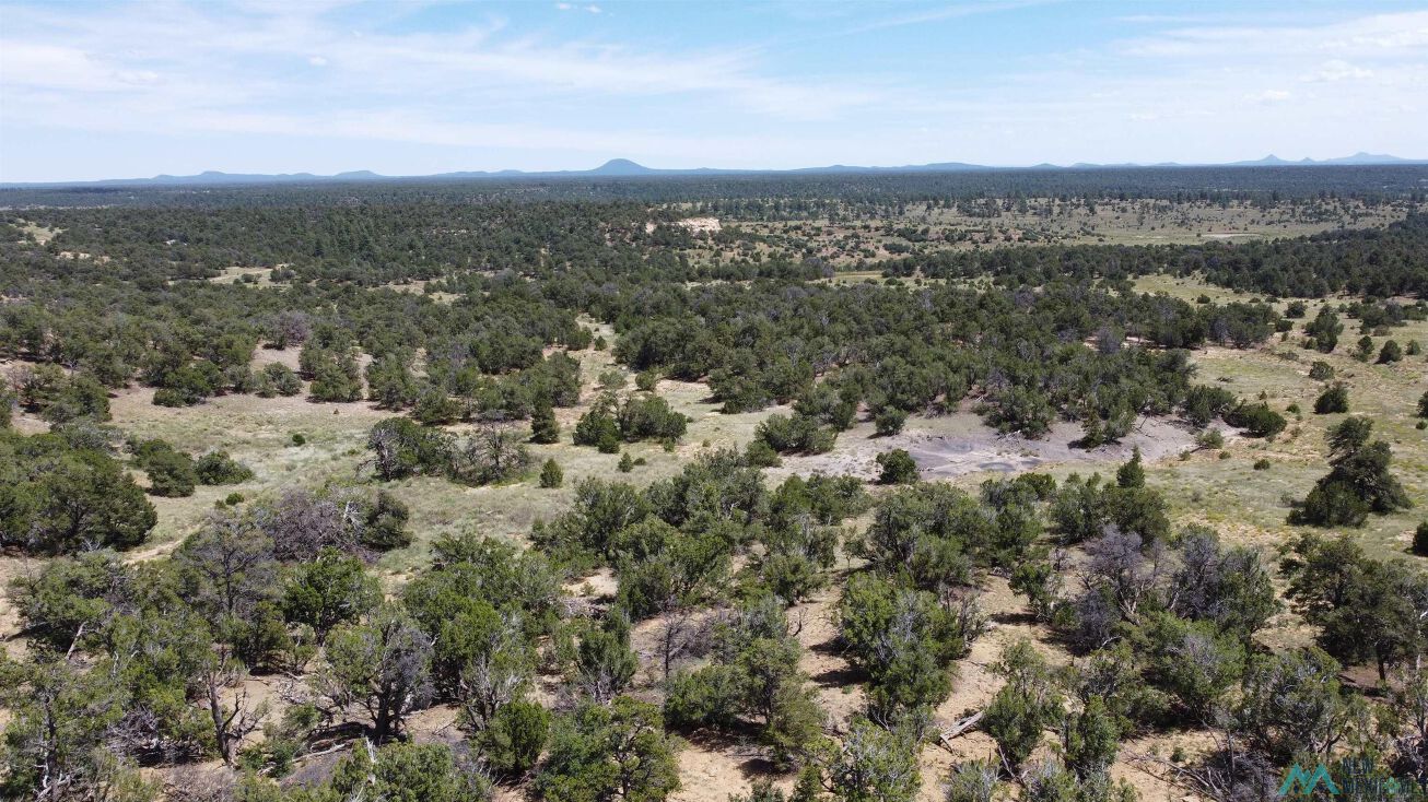 14 Jubilee Candy Kitchen, Cibola, NM 87357 | Crexi.com