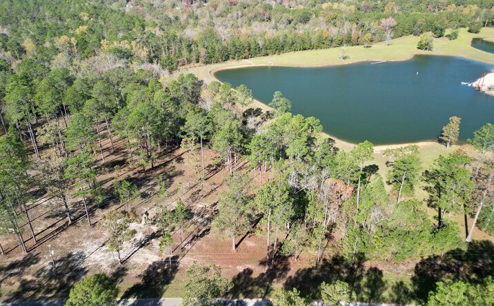 Lot 1 Cowart Holiday Rd, Poplarville, MS 39470 | Crexi.com