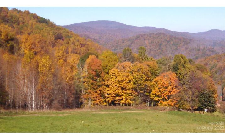 1099 Silas Branch Road, Burnsville, NC 28714 | Crexi.com