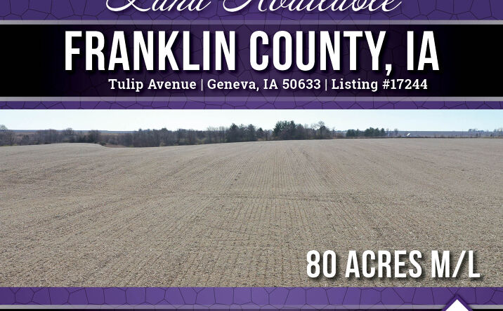 Tulip Ave, Geneva, IA 50633 | Crexi.com