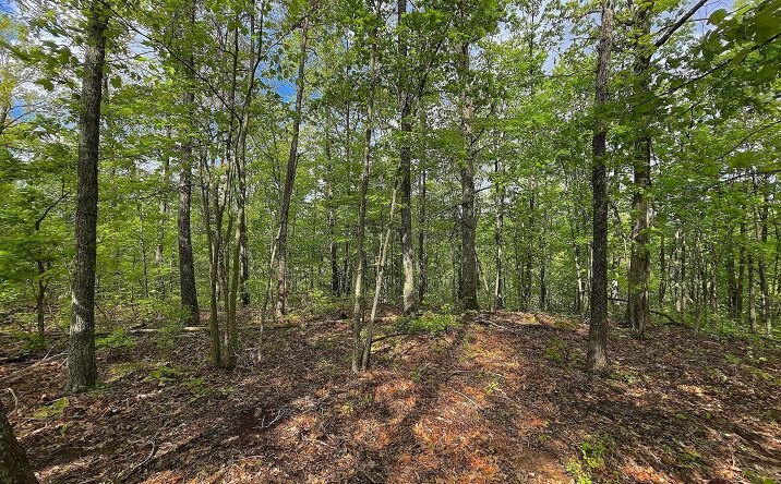 478 HAMILTON RD Crown City OH 45623-9006 APN: 02000110300 | Crexi.com