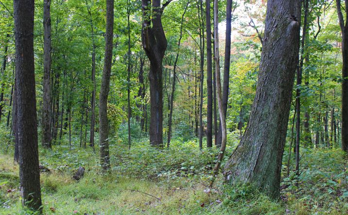 Senneth Cemetery Rd, Mill Run, PA 15464 | Crexi.com