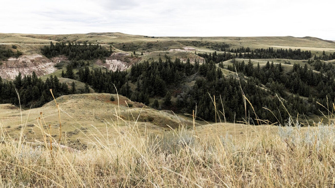 Coffee Creek Ranch, Denton, MT 59430 | Crexi.com
