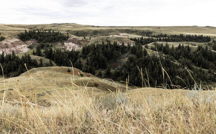 Coffee Creek Ranch, Denton, MT 59430 | Crexi.com