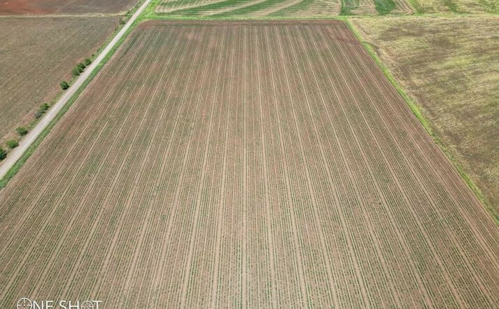 535 Hendrick Ranch Rd, Lueders, TX 79533 | Crexi.com