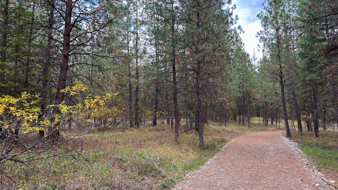 Nhn Farlan Lane Lot 3, Thompson Falls, MT 59873 | Crexi.com