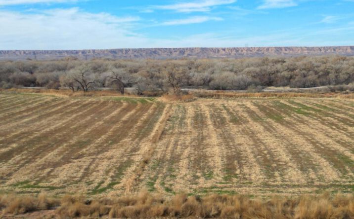 Nm-304, Jarales, NM 87023 | Crexi.com