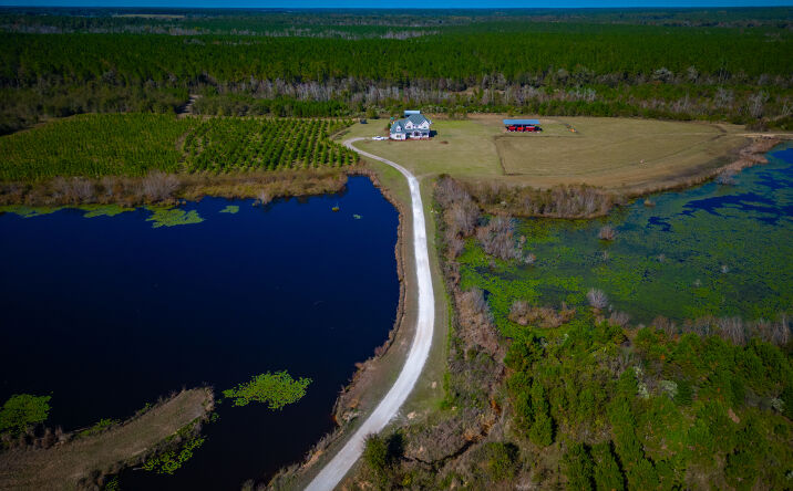 Tract 2 - 1180 Satilla Rd., Wray, GA 31798 | Crexi.com