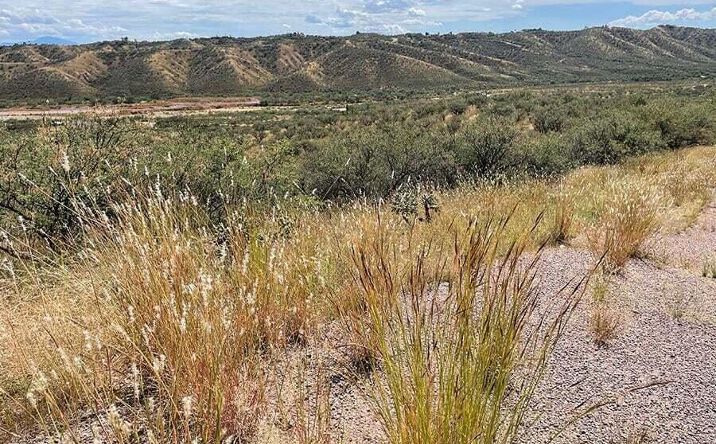 1137 Pinuelas Ct, Rio Rico, AZ 85648 | Crexi.com