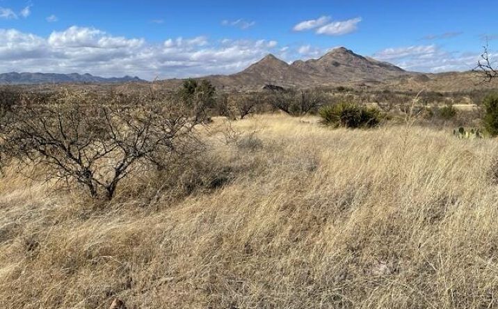 1106 Via Papantla, Rio Rico, AZ 85648 | Crexi.com