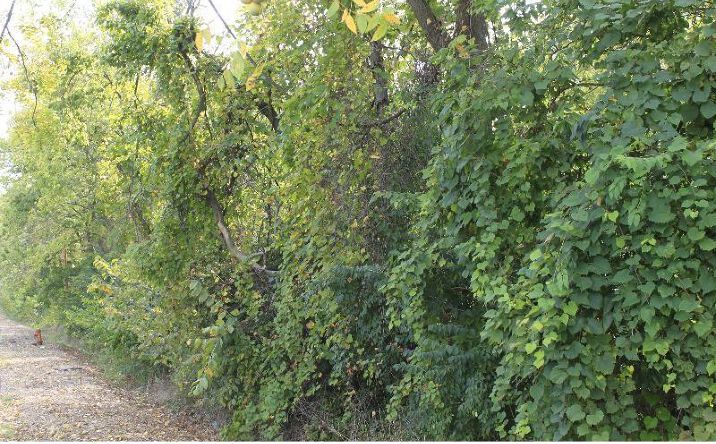 Beth Hennick - Howard Hanna Real Estate Svcs | Crexi