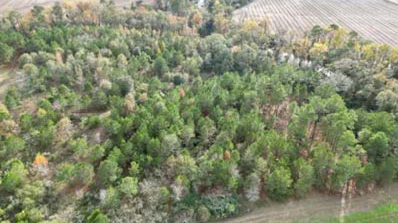 Vacant Stanfield Dr, Pavo, GA 31778 | Crexi.com