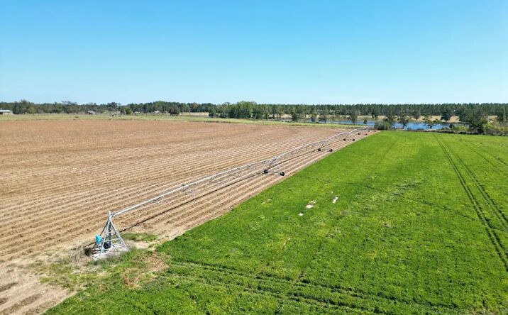 Whigham Rd, Whigham, GA 39897 | Crexi.com