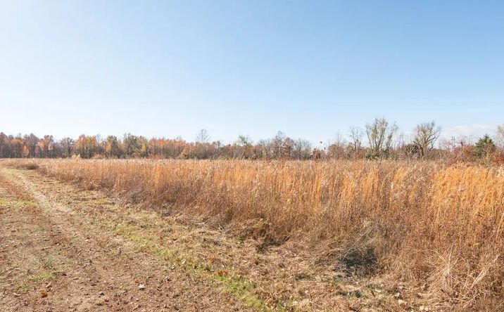 Pine Ridge Ranch, Benton, MO 63736 | Crexi.com