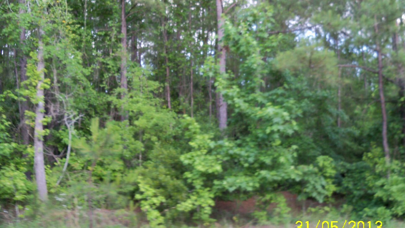 Old Louvale Rd, Cusseta, GA 31805 | Crexi.com