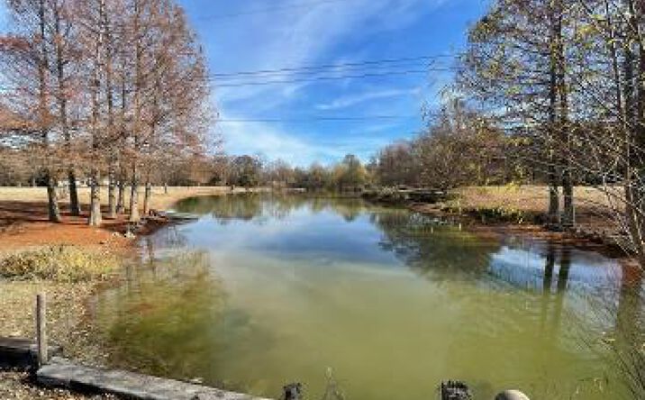 5 Lombardy Road, Drew, MS 38737 | Crexi.com