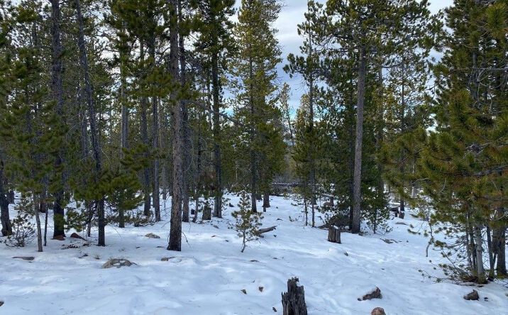 Butte, MT Commercial Real Estate for Sale | Crexi.com