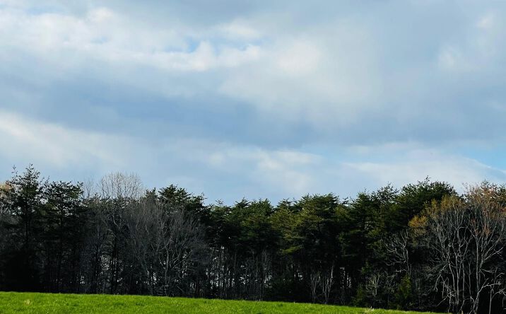 Lot 13 Belvior CIR, North Shore, VA 24121 | Crexi.com