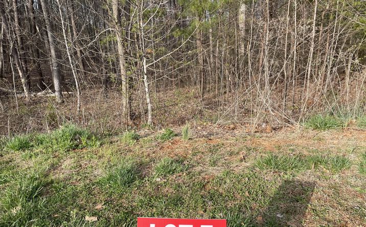 Lot 20 Windsor Castle DR, North Shore, VA 24121 | Crexi.com