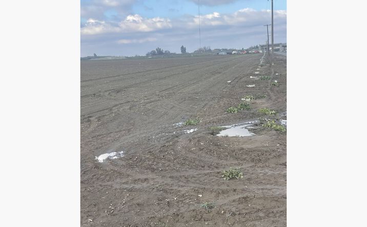 2350 9th Ave, Laton, CA 93242 | Crexi.com