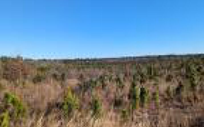 Neeses Hwy, Neeses, SC 29107 | Crexi.com